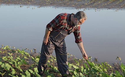 Is underwater farming the way forward?
