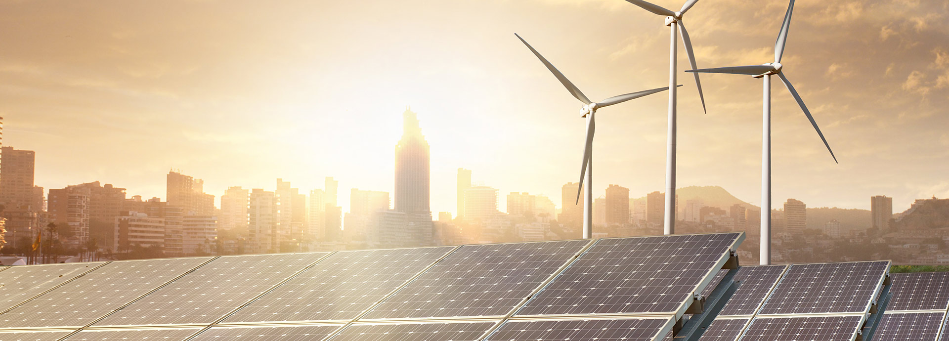 Renewables roundtable