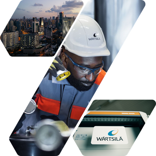 Wärtsilä Decarbonisation services: Reference case introduction