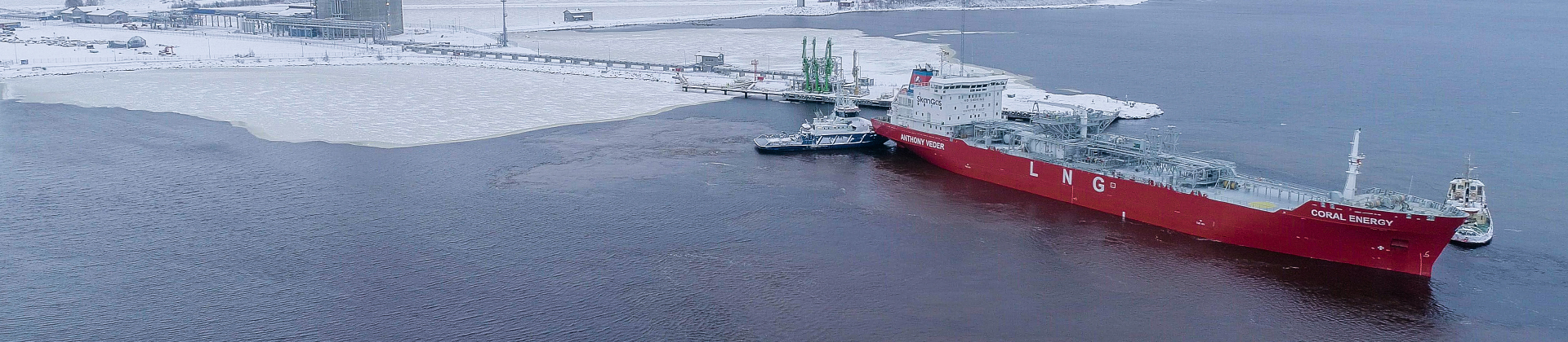 Solutions for small and medium gas carriers - Wärtsilä