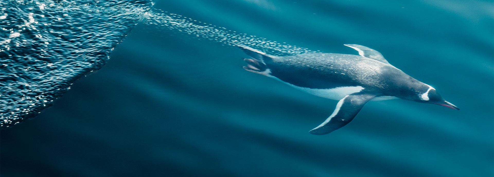 Plan maintenance early to keep your operations running smoothly