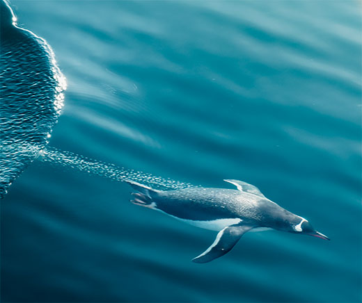 Plan maintenance early to keep your operations running smoothly