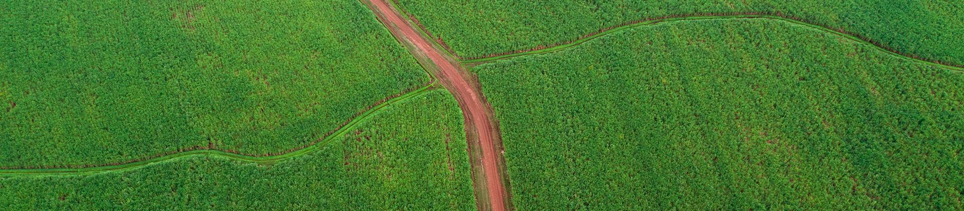 Energy - Wärtsilä in India