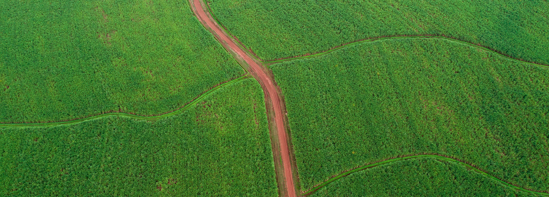 Energy transition pathways towards a low-cost 100% renewable power ...