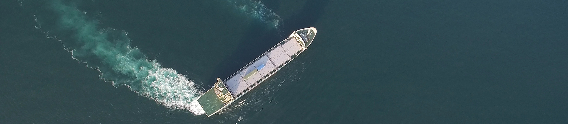 GATE RUDDER™ manoeuvring device - Wärtsilä