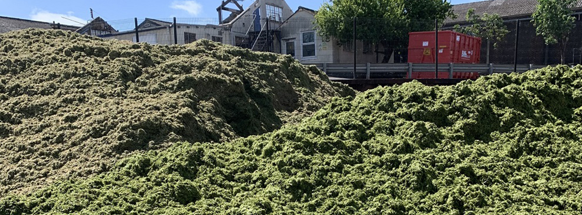 Wärtsilä biogas upgrading solutions - Green Gas Mill project