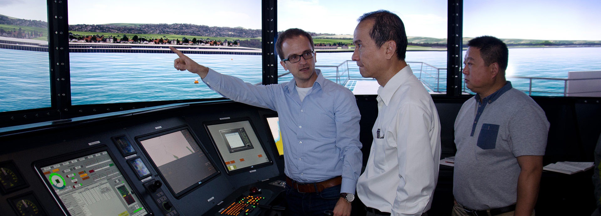 Electronic navigation simulators