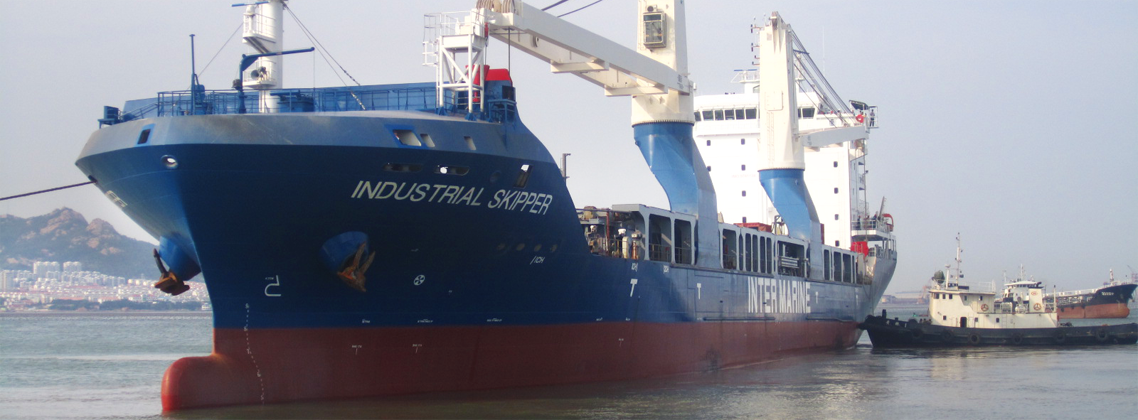 Wärtsilä Shaft Generator - economical electrical power generation