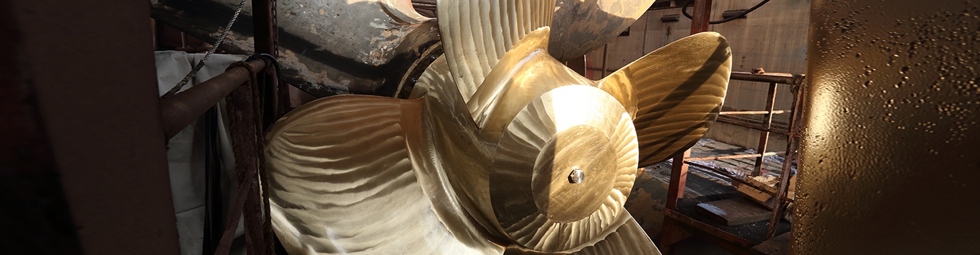 Wärtsilä EnergoProFin - Energy saving propeller